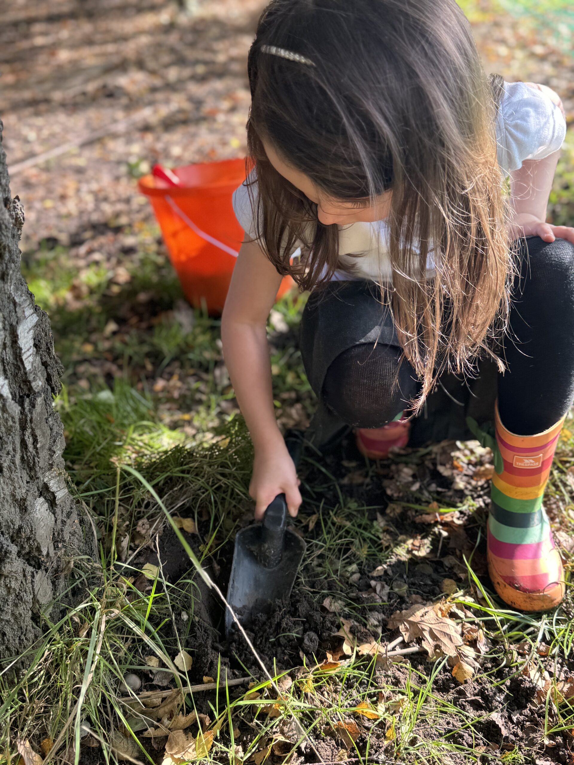 Sustainability – Nine Mile Ride Primary School, Finchampstead, Wokingham